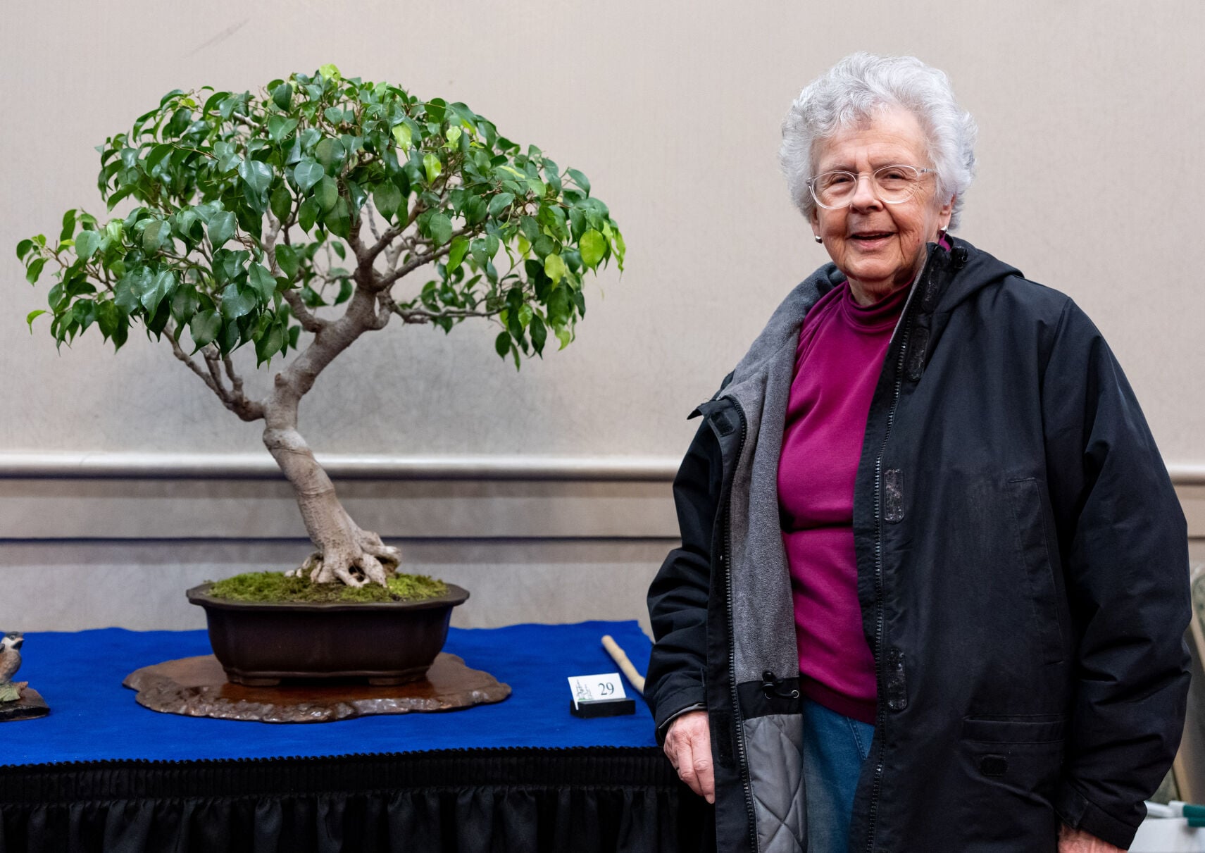 How (and why) bonsai growers turn trees into living sculpture [photos ...