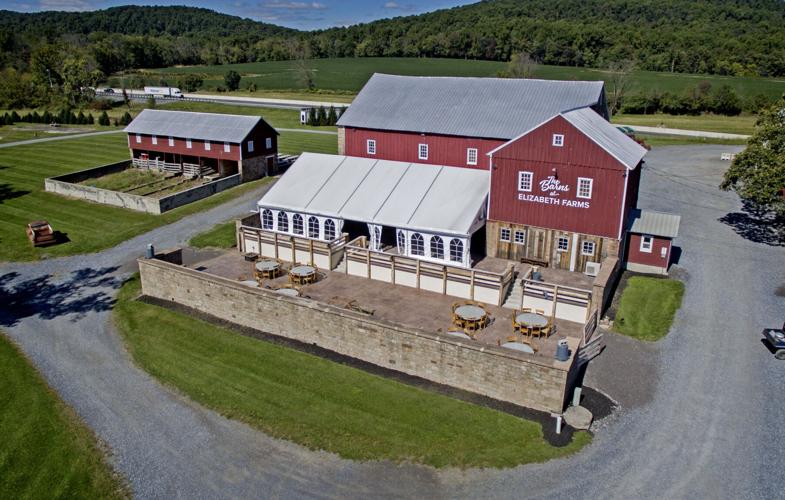 Historic Elizabeth Farms in Lancaster County heads to public auction ...