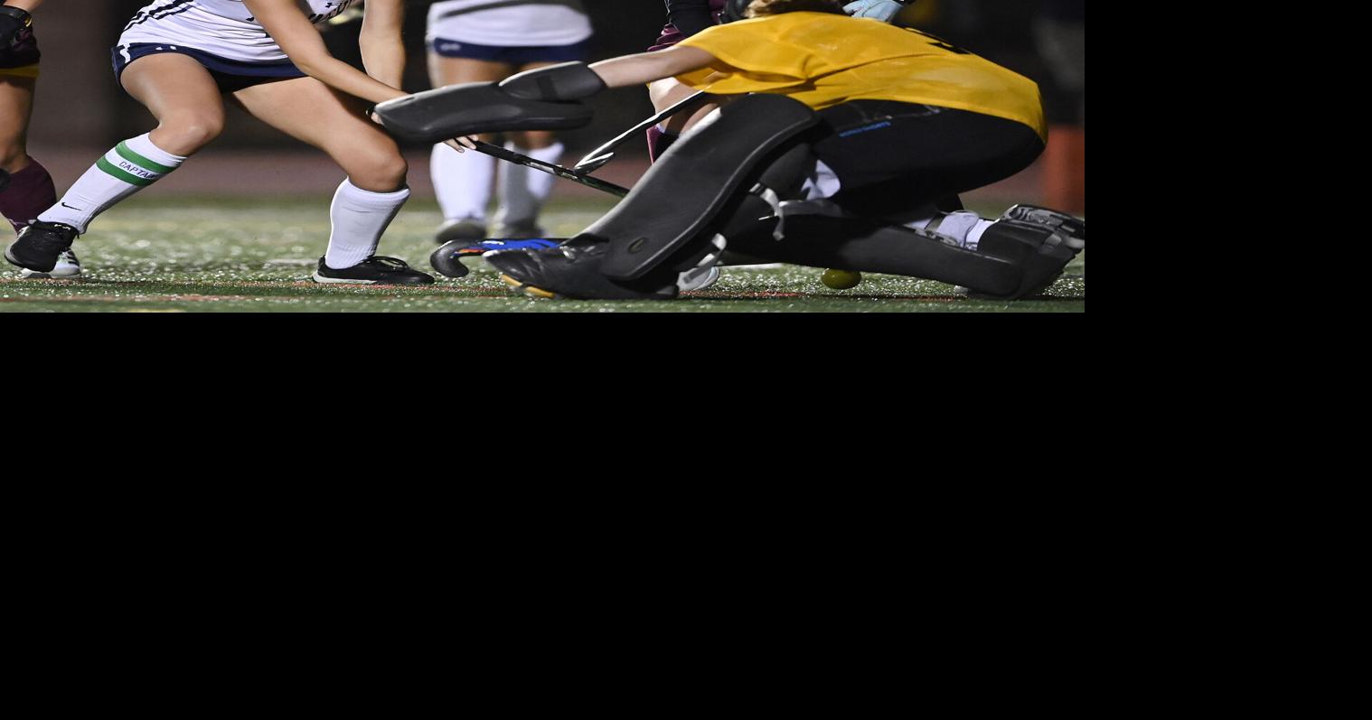 Manheim Township blanks Avon Grove in PIAA Class 3A field hockey opener ...