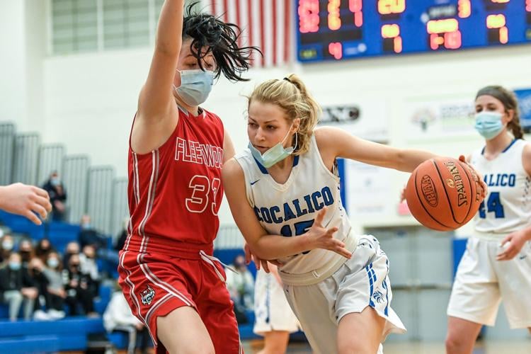 District 3 Class 5A girls basketball playoffs: Fleetwood at Cocalico ...