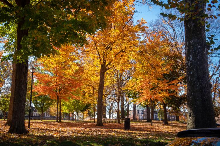 Fall foliage around Lancaster County as October comes to an end [photos] | Local News ...