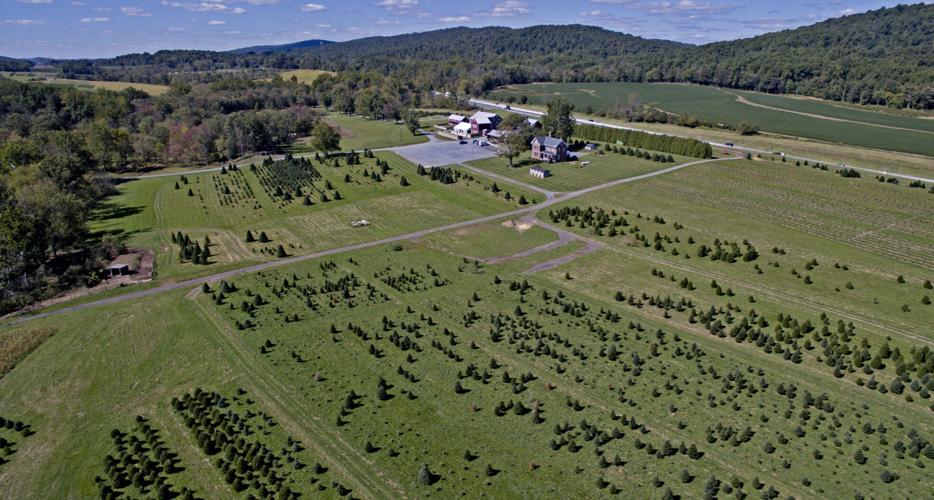 Historic Elizabeth Farms in Lancaster County heads to public auction ...