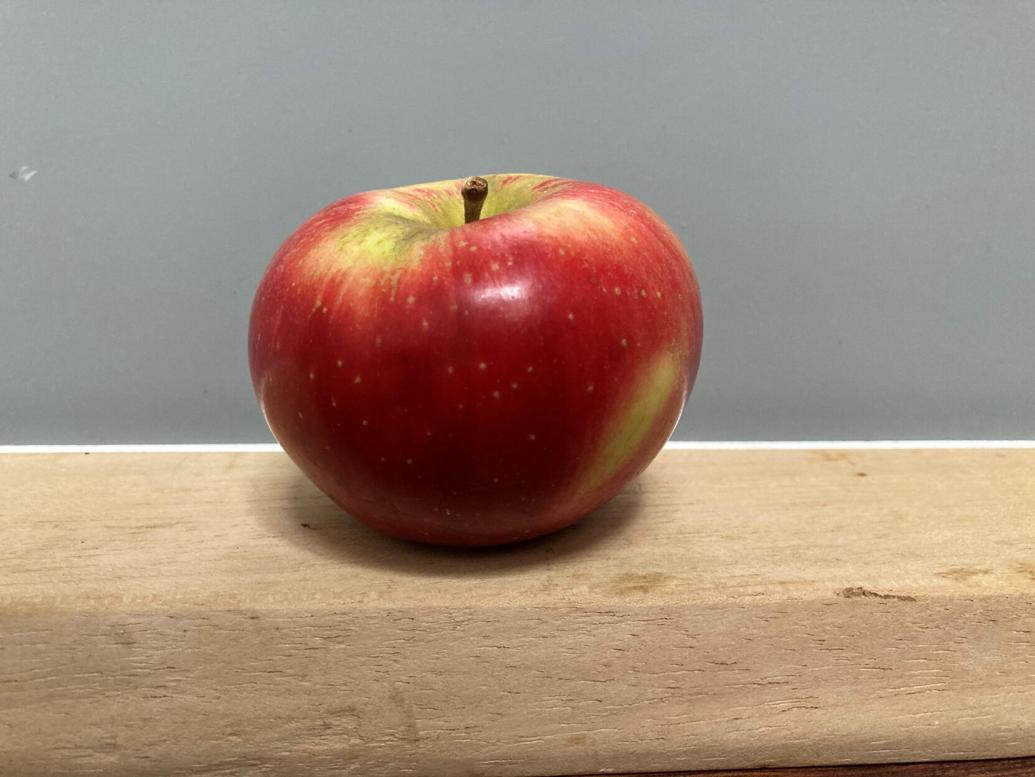 Our food writer samples 12 varieties of Lancaster County apples | Life ...