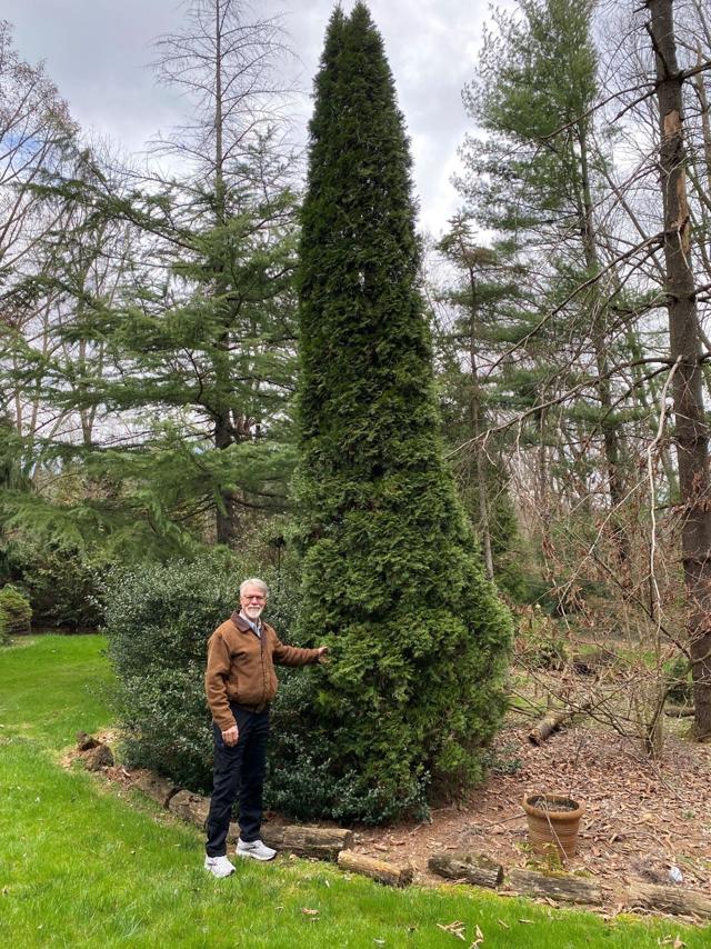 Plant these native trees for beauty, shade and other benefits | Home ...