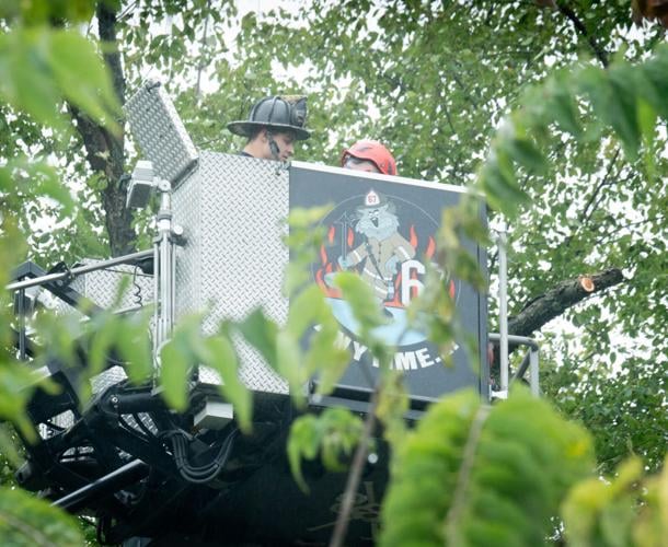 Coroner identifies York County man killed Tuesday in tree trimming ...