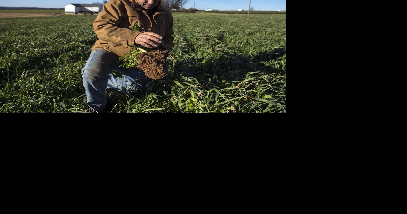 Farmers in Pa. unify around conservation-based farming group with goals ...