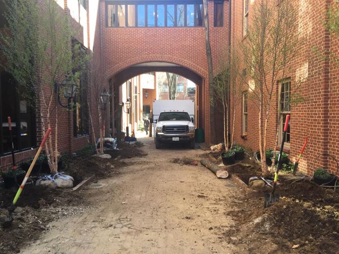 Trees being replaced in Steinman Park | Local News | lancasteronline.com