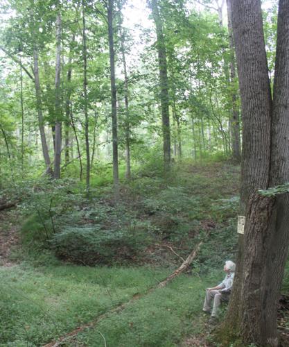 Longtime hiker donates 32 acres near Speedwell Forge park to Lancaster ...