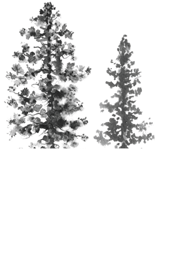 Sunday haiku: March scenes | Sunday | lancasteronline.com