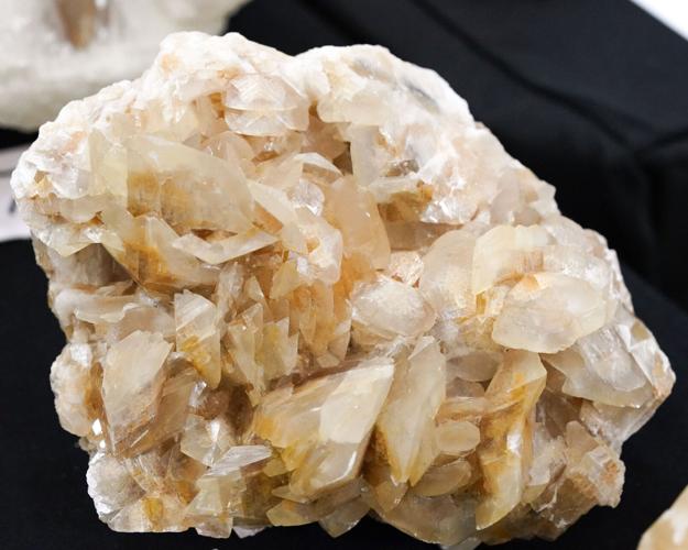 Lancaster County Fossil and Mineral Club shines [photos ...