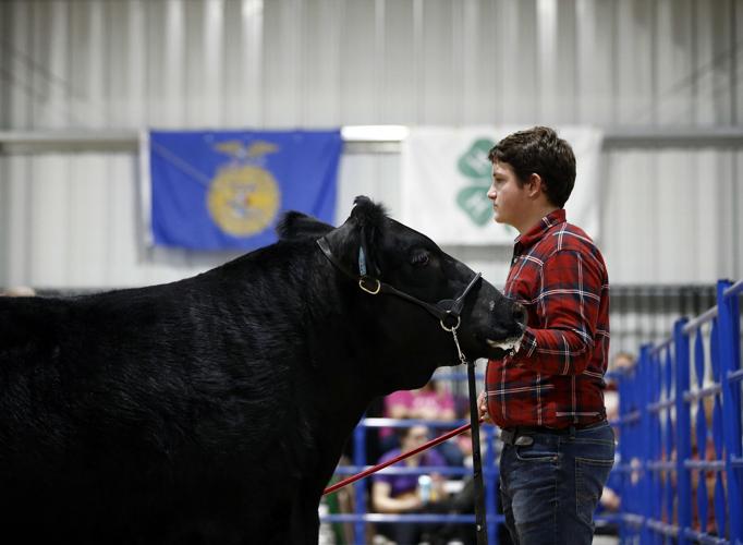 Last of the season, Manheim Farm Show continues with a business expo ...