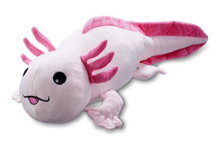 5 things to know about axolotls, the amphibious pet popping up in video ...