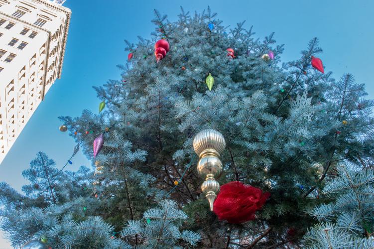 LEADS decorates this year's Lancaster holiday tree [photos ...