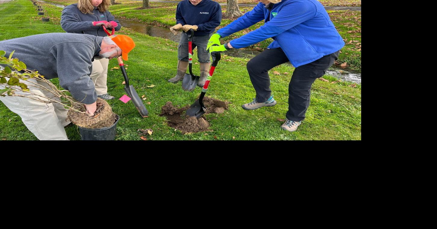Planting Trees Create Buffers That Protect Streams | Local News ...