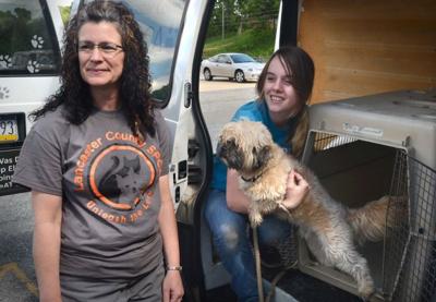 Animal cruelty cases shared by several local enforcement officers ...