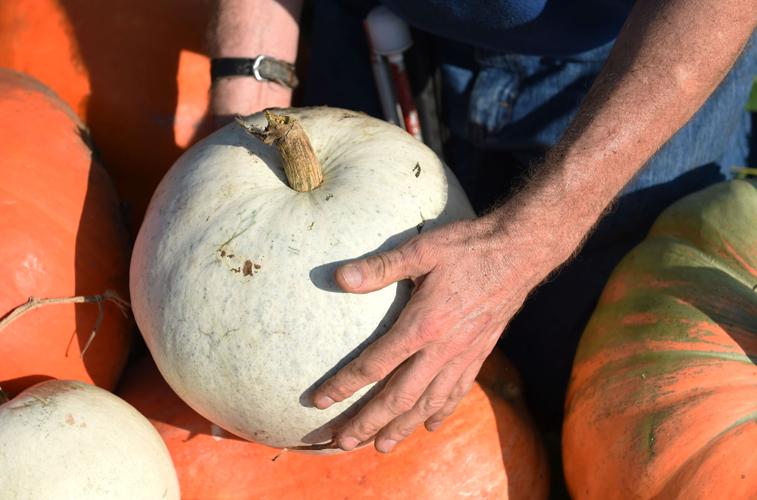 Andy Stender 'sees' the beauty in his pumpkin patch, even without sight ...