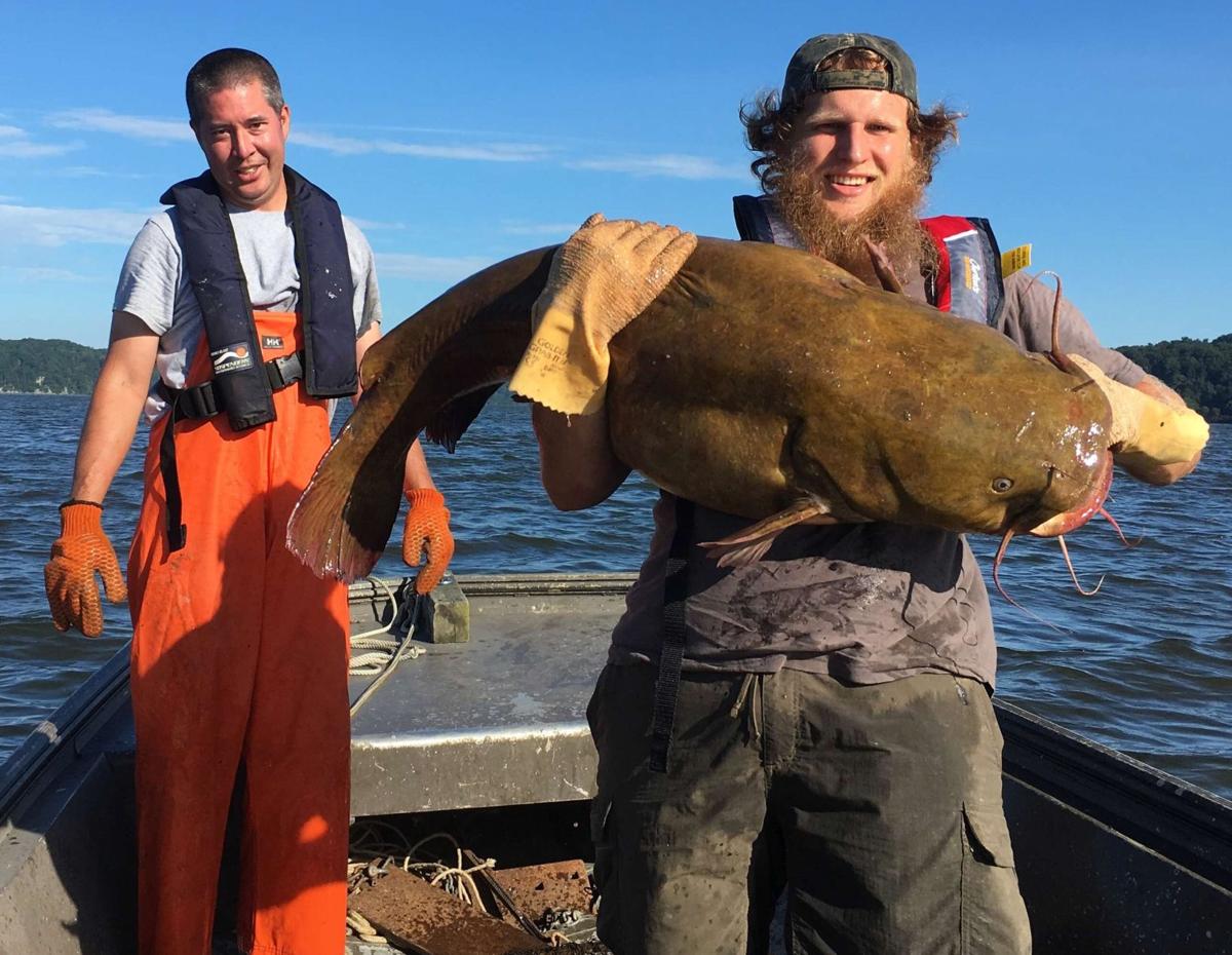 River monster: Flathead catfish size of 8-year-old boy pulled from ...