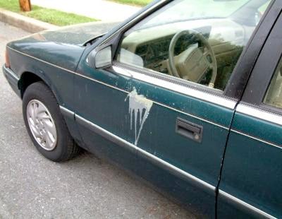 Acid vandals' toll: 300 vehicles, $300,000 damage | News ...