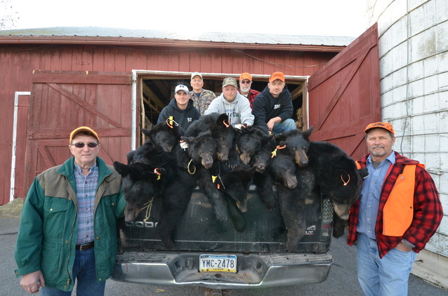Pennsylvania hunters keeping an eye on Maine bear proposal | Outdoors ...