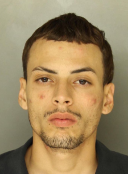 Driver pleads guilty in crash that killed McCaskey student, injured ...