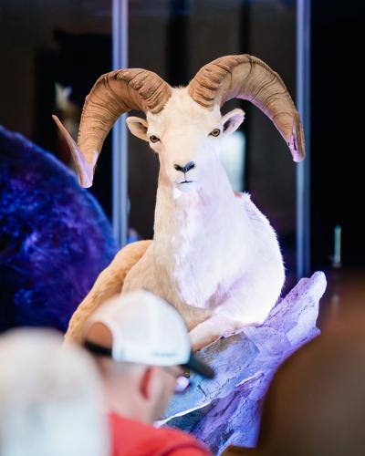 Alaskan hunting guide shares stories of adventures at Manheim church ...