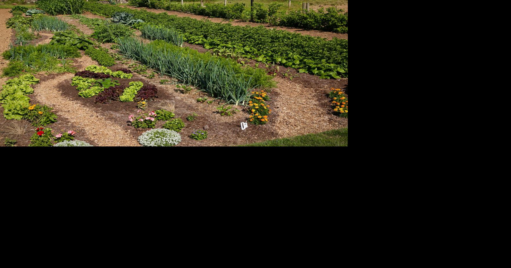 This book takes you inside Amish gardens with advice (and recipes) from ...