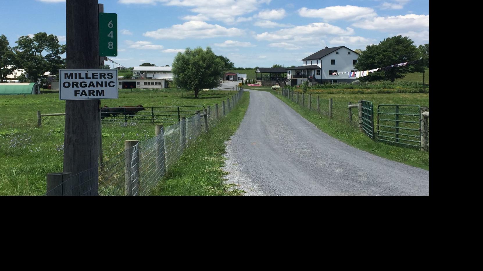 Dan Nephin | lancasteronline.com