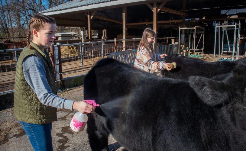 Lancaster County farmers sing national anthem to open 2023 Pa. Farm ...