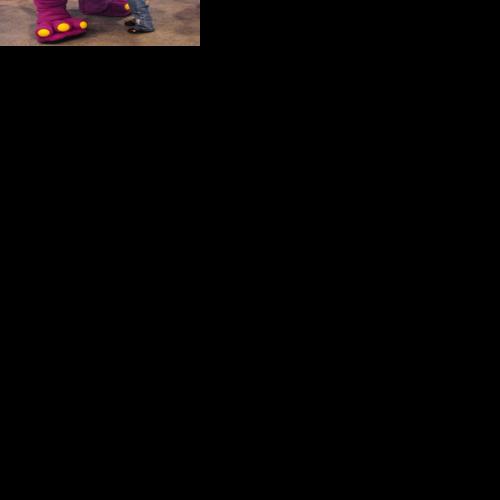 Barney, babies and more | News | lancasteronline.com