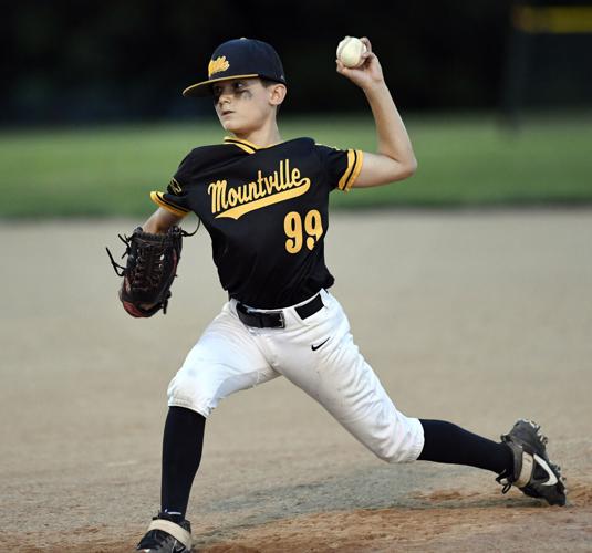 Mountville Cubs vs. Manheim VFW - LNP Tournament 10U finals [photos ...