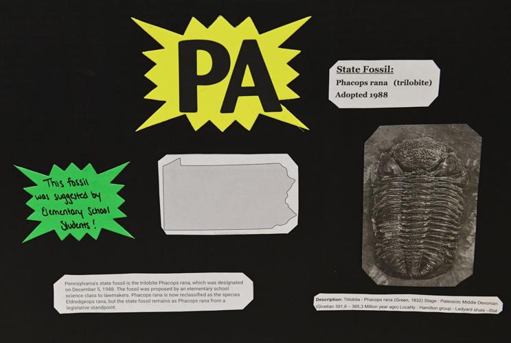 Chris Haefner and his fossil [photos] | | lancasteronline.com