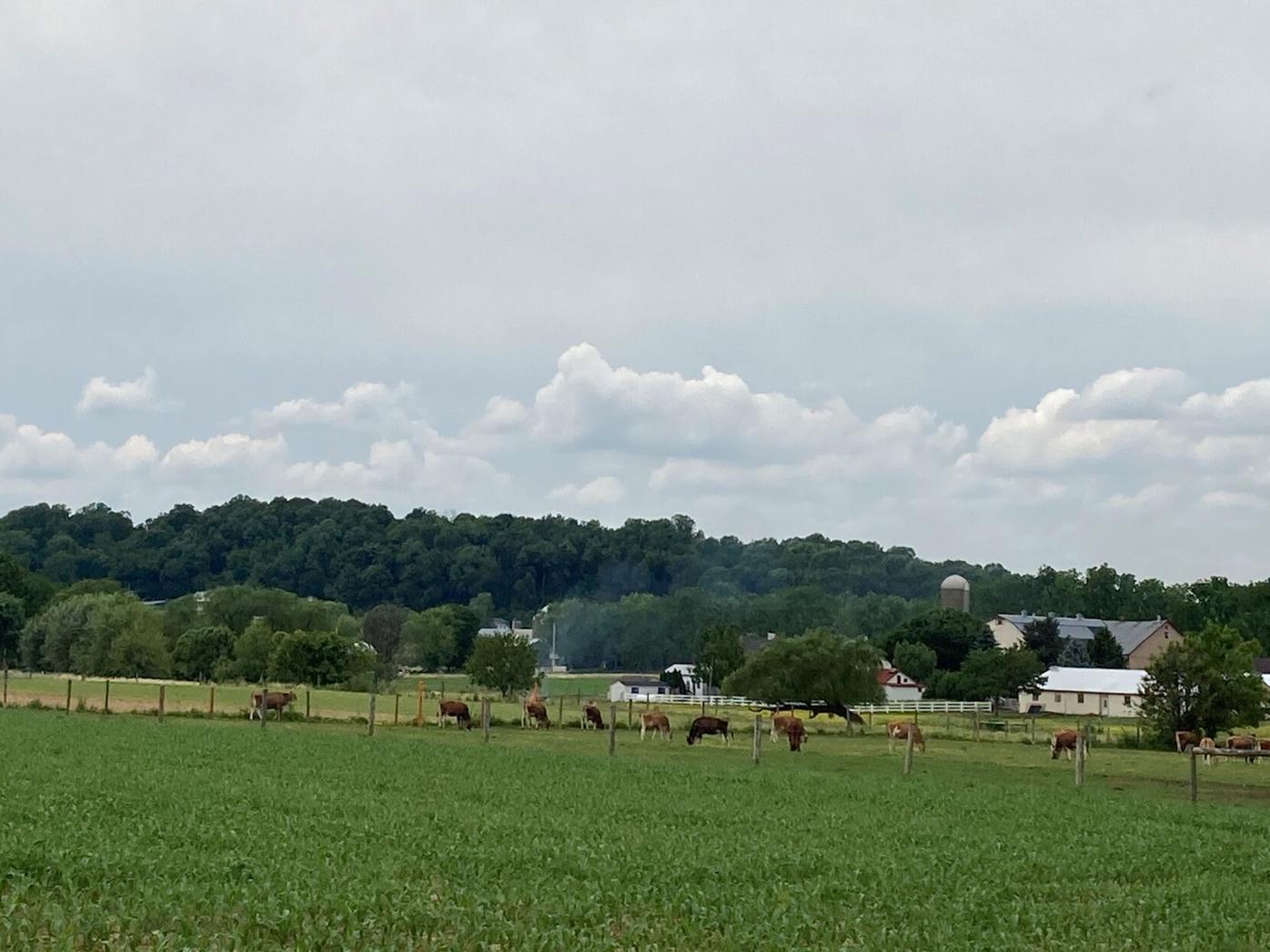 30+ things to eat and drink in Lancaster County this summer | Food ...