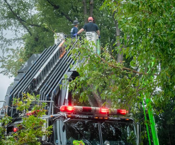Coroner identifies York County man killed Tuesday in tree trimming ...