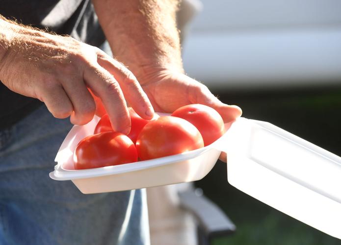 Scenes from the first weekend of the 2025 Washington Boro Tomato ...