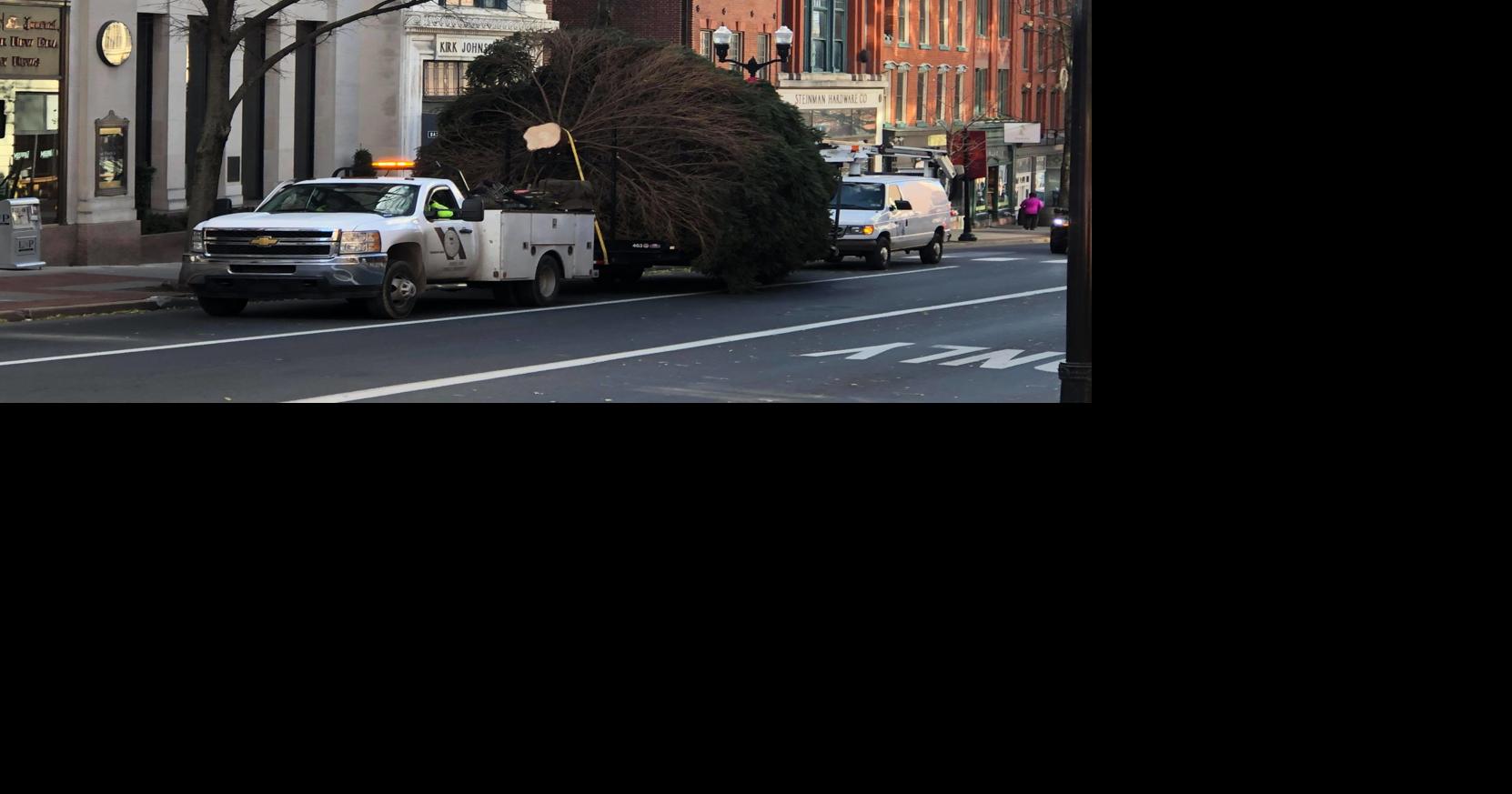 Watch: Lancaster city gets its holiday tree in preparation for the ...