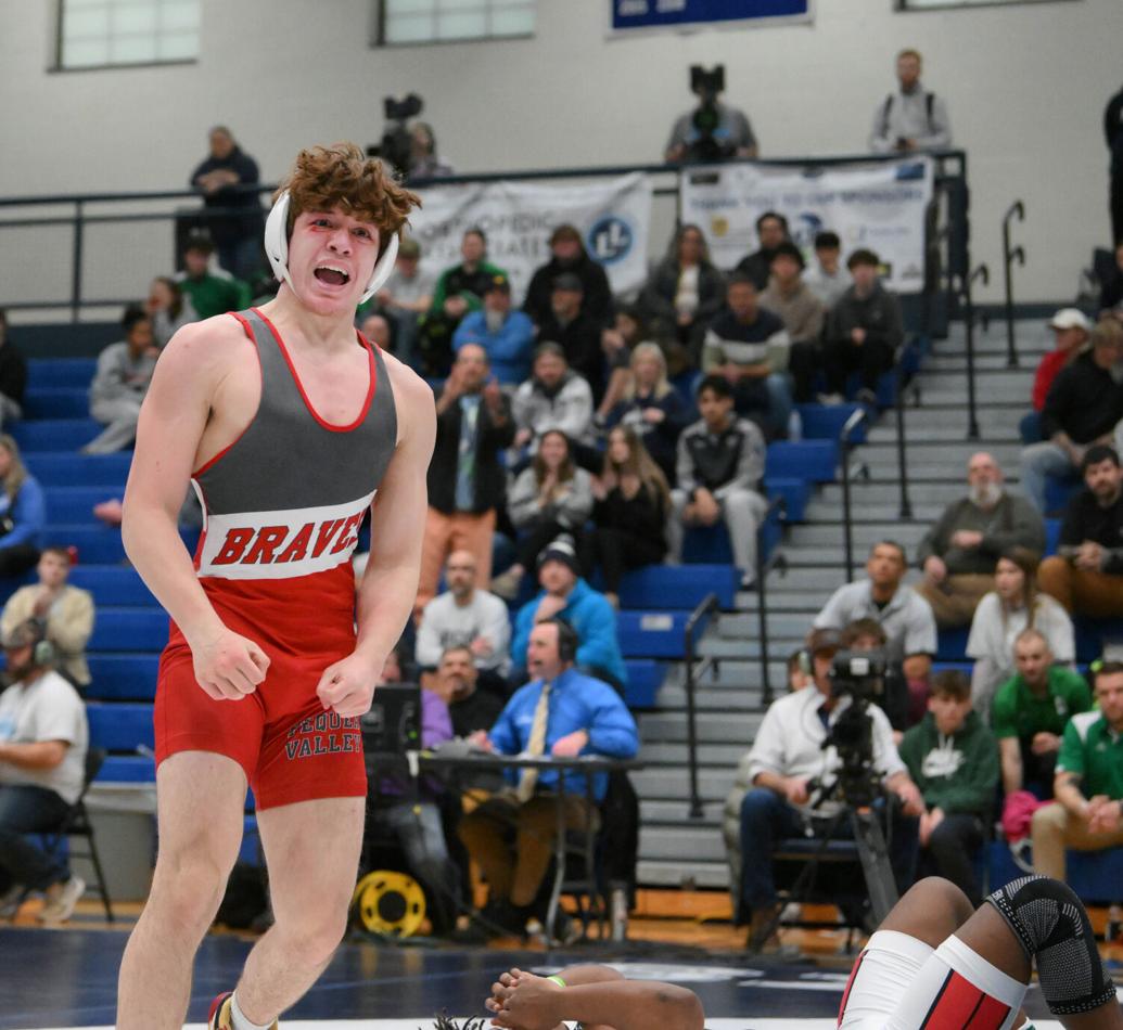 Manheim Township freshman, Manheim Central senior make quarterfinals in ...