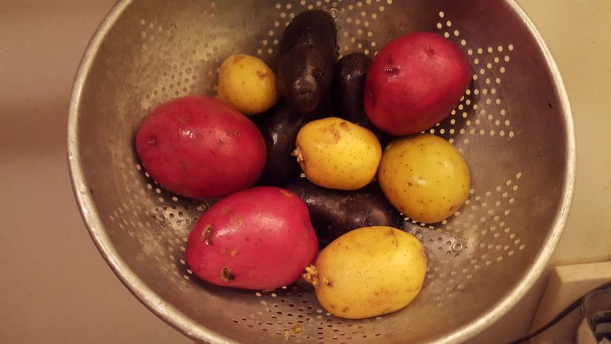 The Press Table: Herbes de Provence makes easy potato dish taste great ...