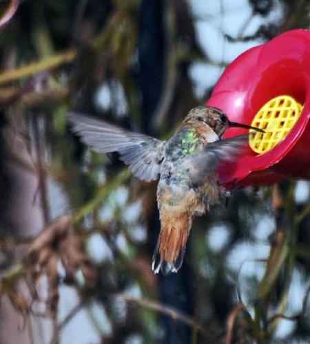 A touch of heaven for Edith Bailey | Opinion | lancasteronline.com