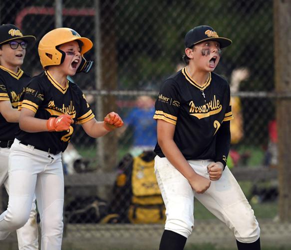 Mountville Cubs vs. Manheim VFW - LNP Tournament 10U finals [photos ...