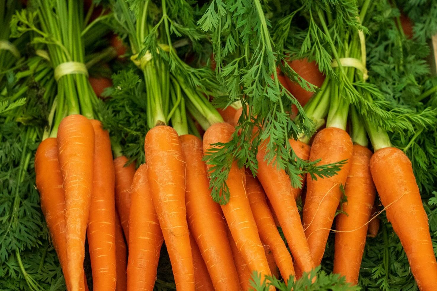 Extend your garden with these cool-season vegetables for fall [Master ...