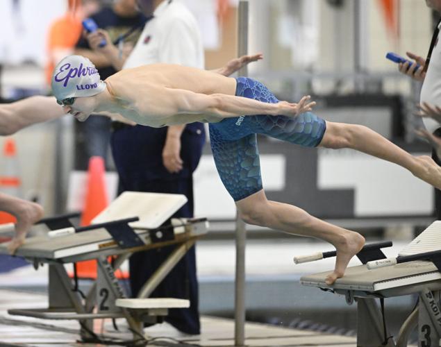 2024 PIAA swimming championships [photos] | High School Swimming ...