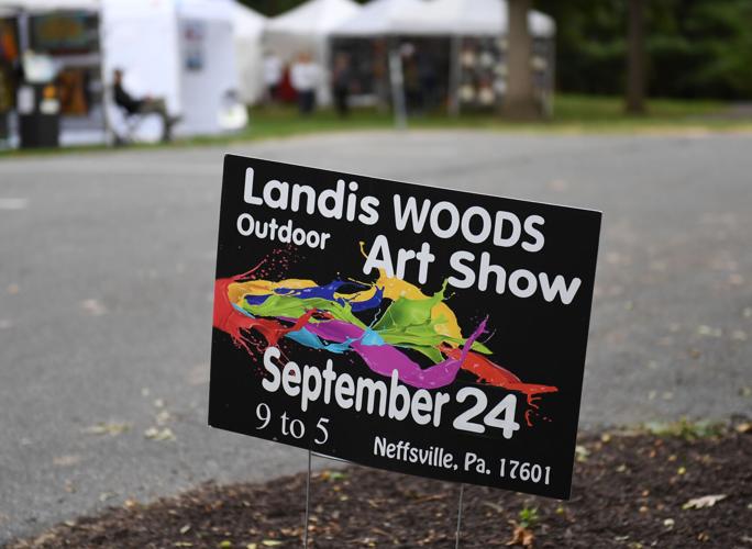 Into the woods ... for art: Landis Woods Outdoor Fine Art Show [photos ...
