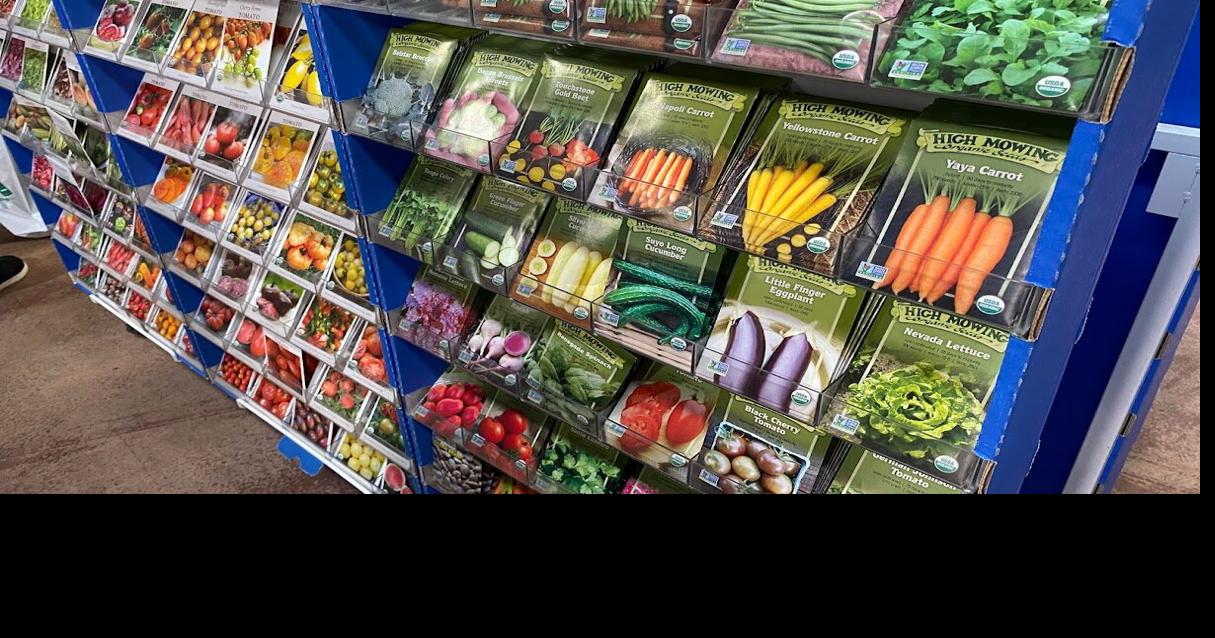 5 seed catalogs you can get for free — and what's new for 2026 | Home ...