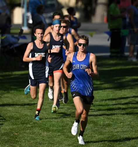 Manheim Township and Lebanon at Cedar Crest - L-L League cross country ...