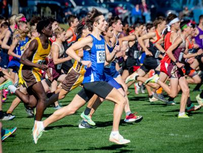 83 L-L League runners to compete in PIAA cross country championship ...