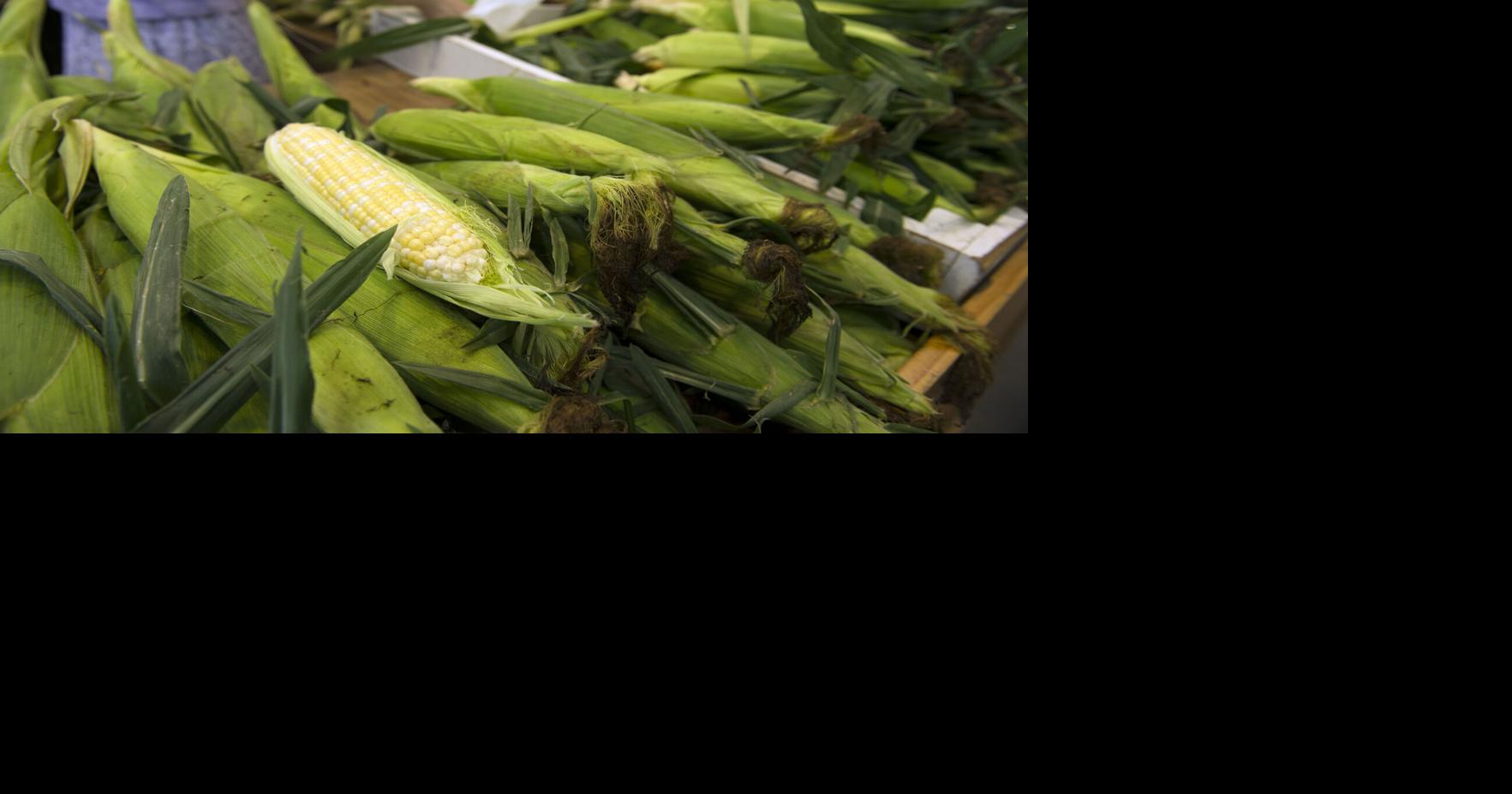 9 corn recipes, from corn fritters to corn pudding | Food ...