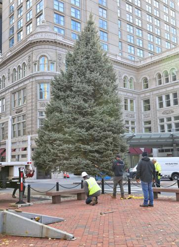 Lancaster city's Christmas tree goes up for 2024 [photos] | Local News ...