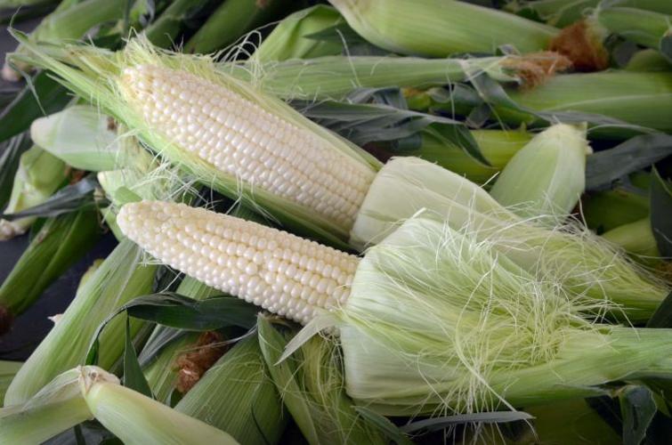 Grab the butter: Despite threatening wet spring, sweet corn is here ...