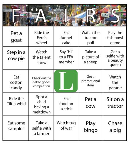 Bingo! You can have more fun at the fairs with our LNP Fair bingo ...