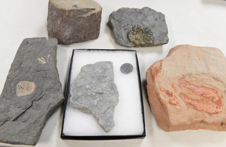 Chris Haefner and his fossil [photos] | | lancasteronline.com